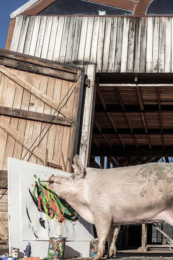 theLAB Franschhoek - What To Do in Franschhoek