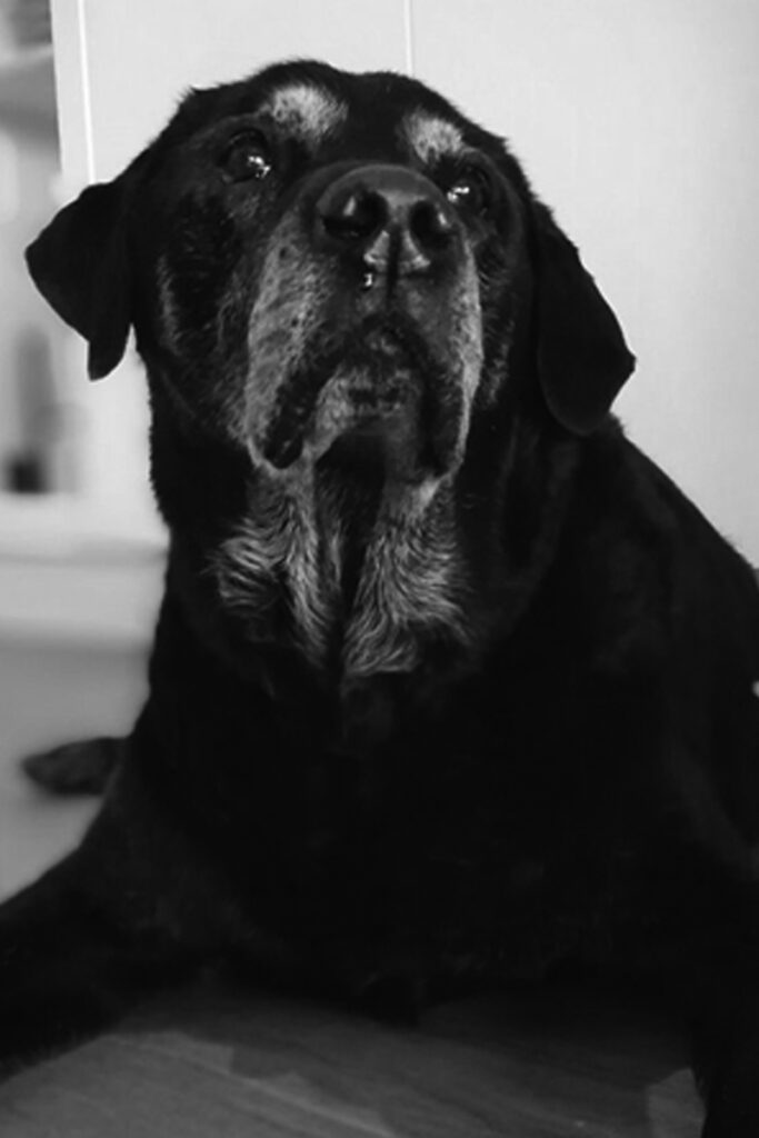 About theLAB - theLAB Guesthouses